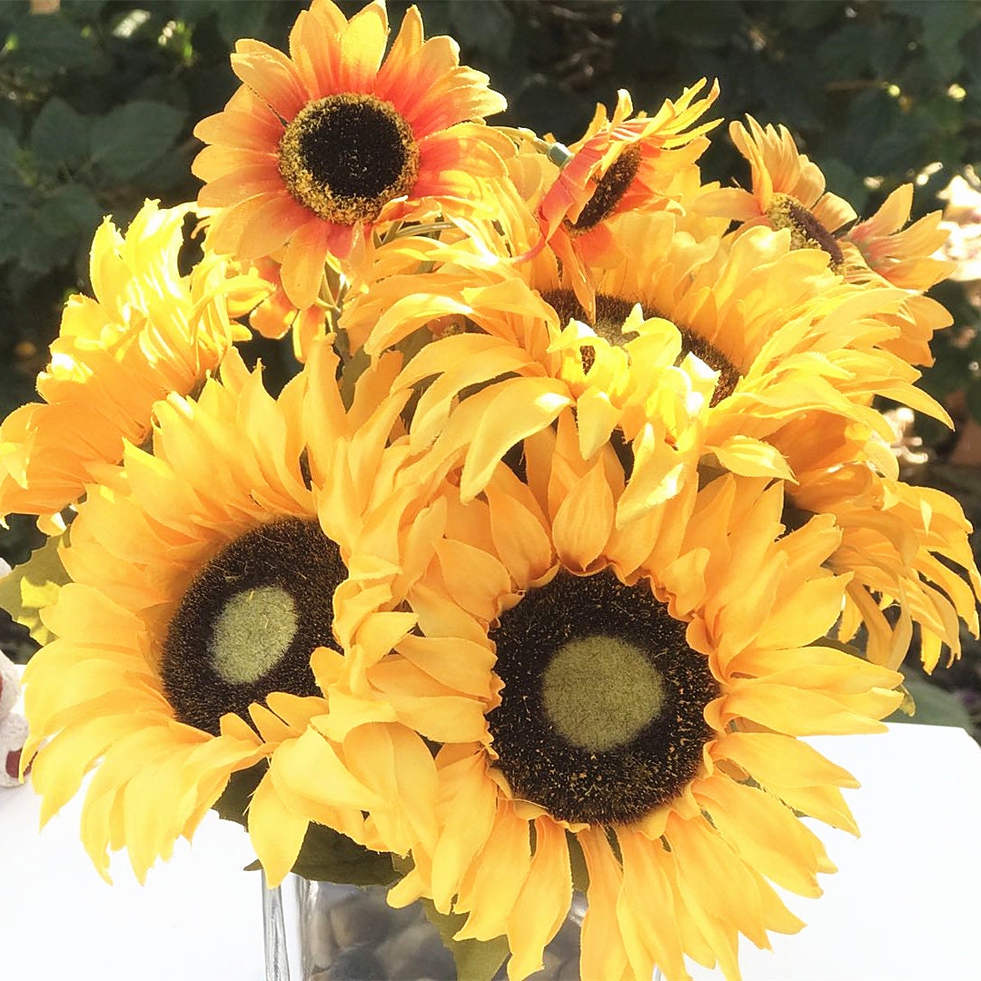 Enova Home Mixed Sunflower Arrangement in Cube Glass Vase With - Etsy