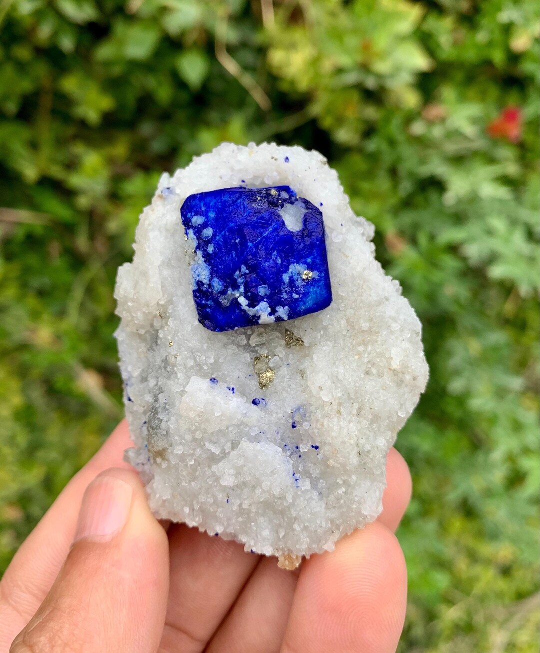 Natural Blue Color Lazurite Crystal With Pyrite Combined Specimen From ...