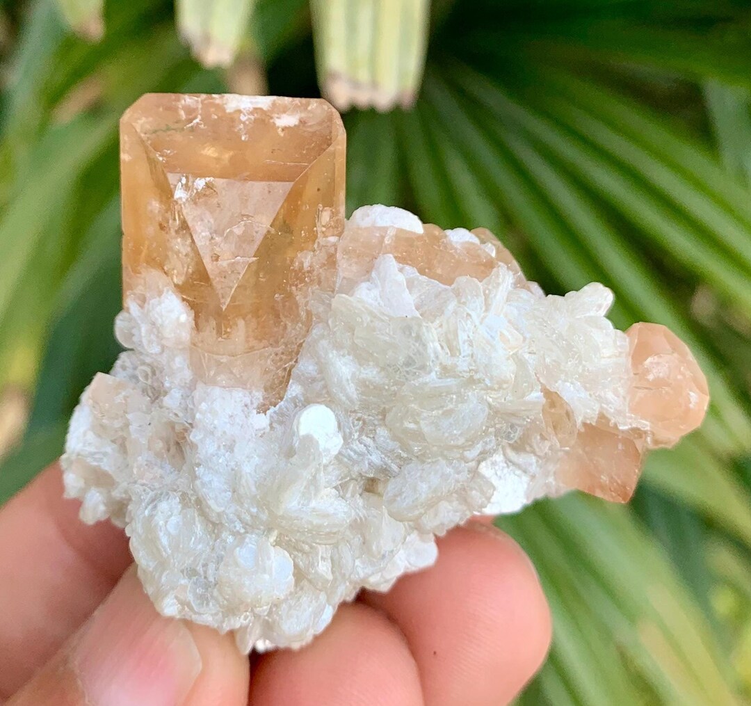 Lovely Whisky Colour Transparent Topaz Crystals Bunch on Muscovite ...