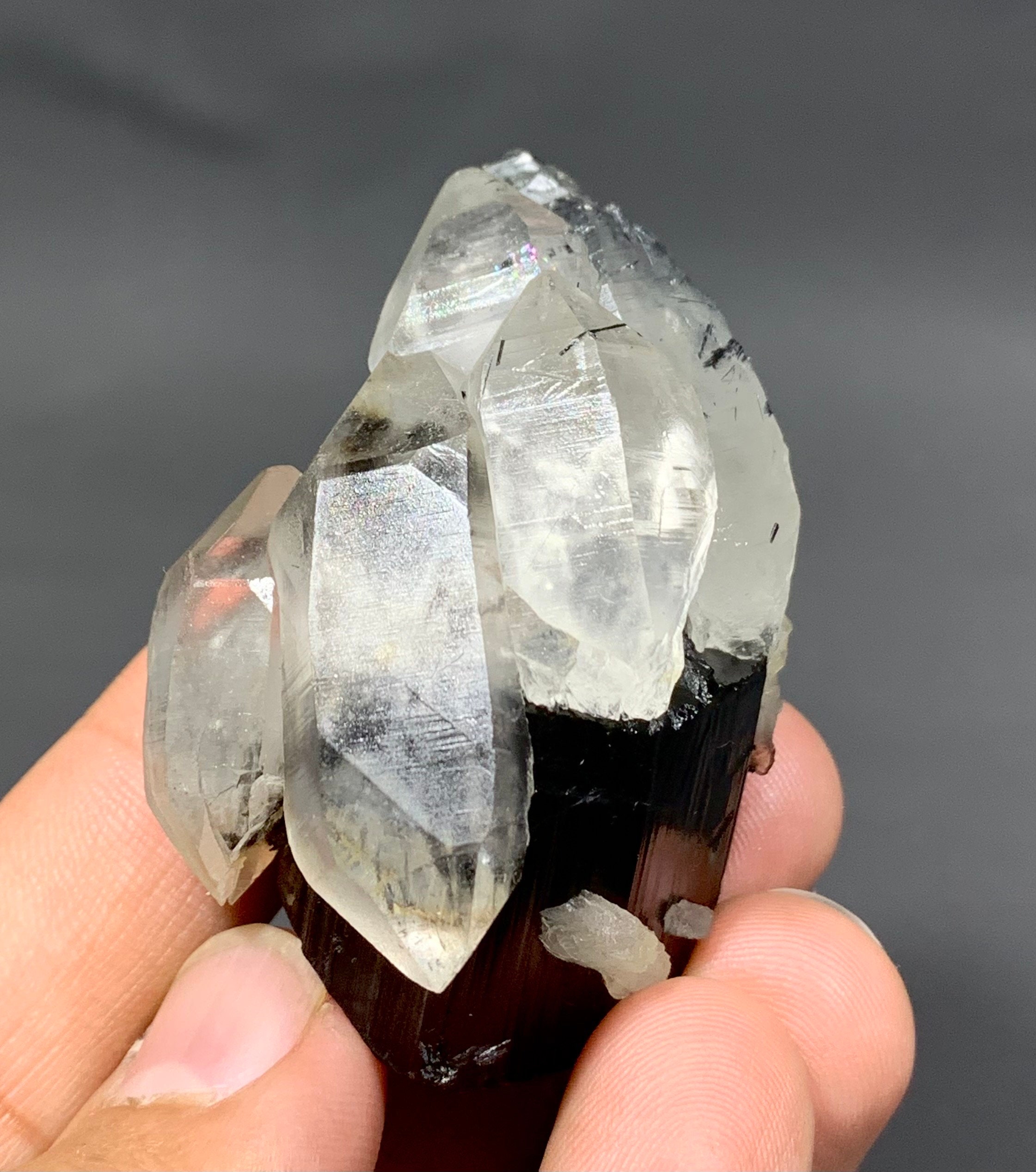 Natural Gwindel Quartz With Black Tourmaline Scroll From Skardu ...