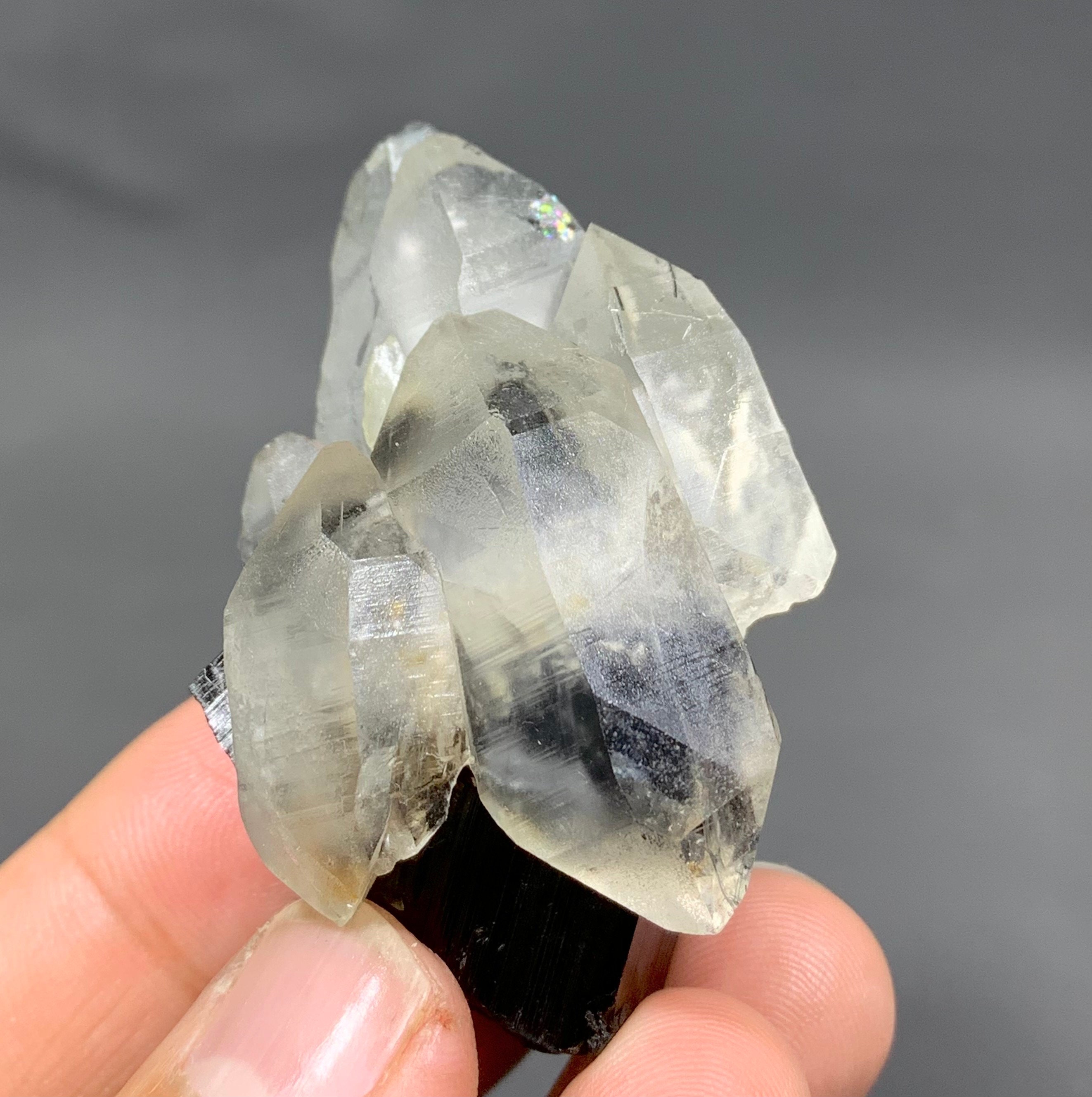 Natural Gwindel Quartz With Black Tourmaline Scroll From Skardu ...