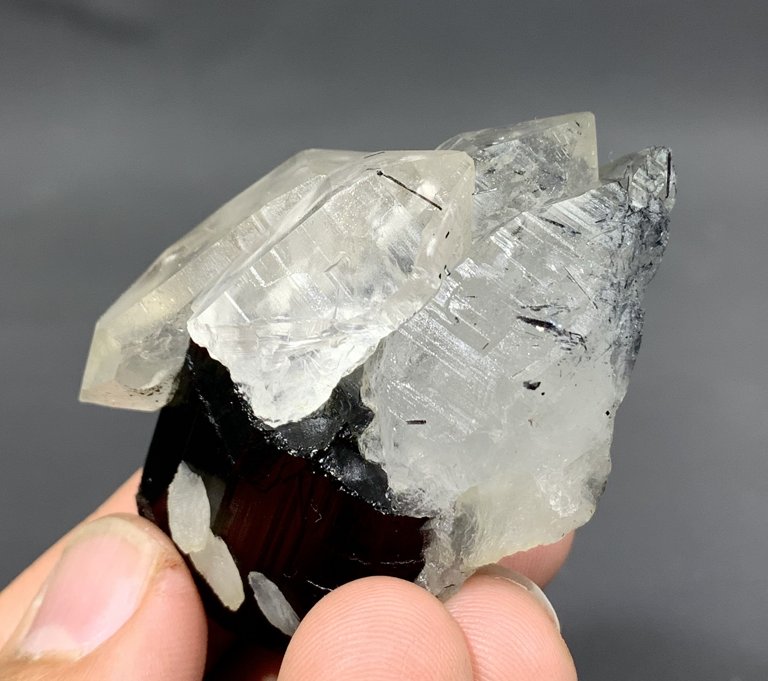 Natural Gwindel Quartz With Black Tourmaline Scroll From Skardu ...