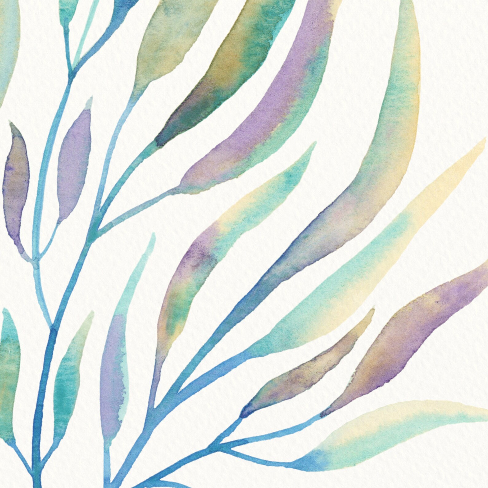 Algae Watercolor Print, Seaweed Illustration, Contemporary Printable ...