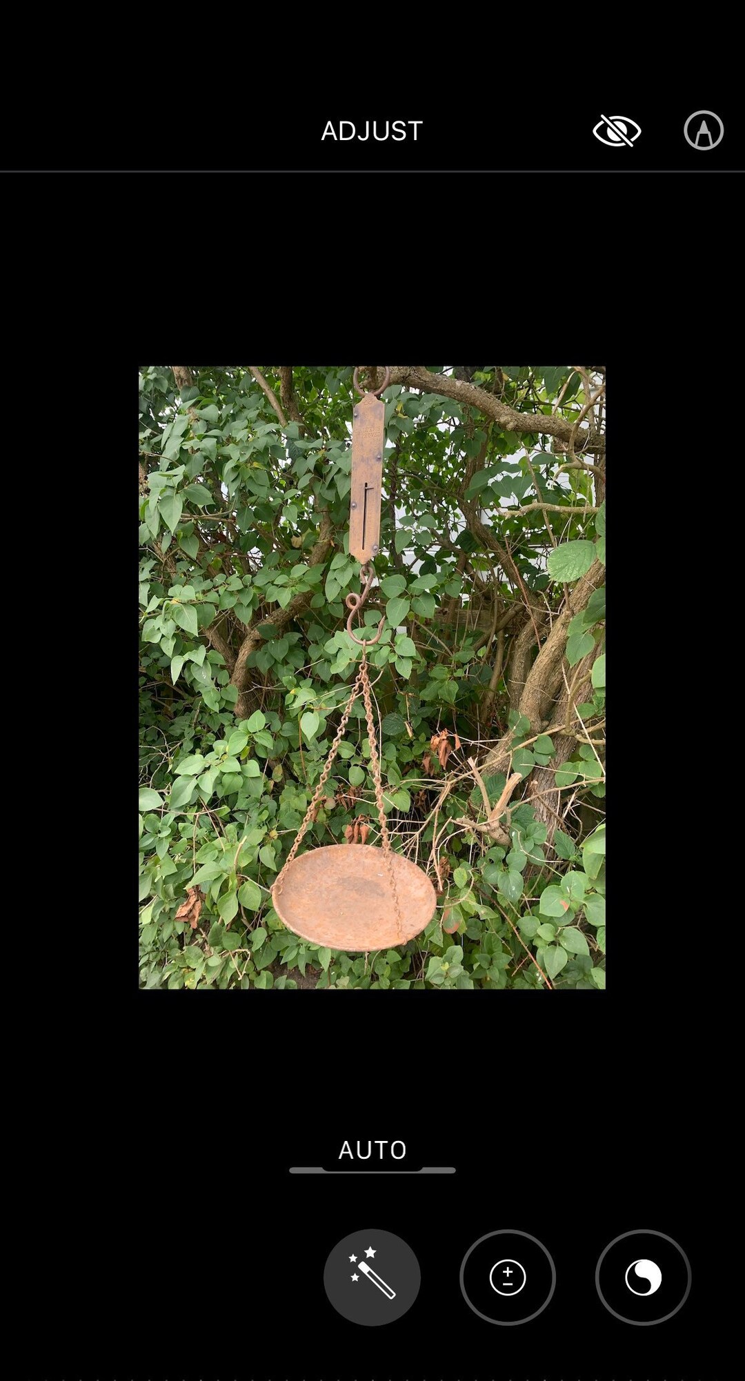 SALTER Spring Balance Scales. - Etsy