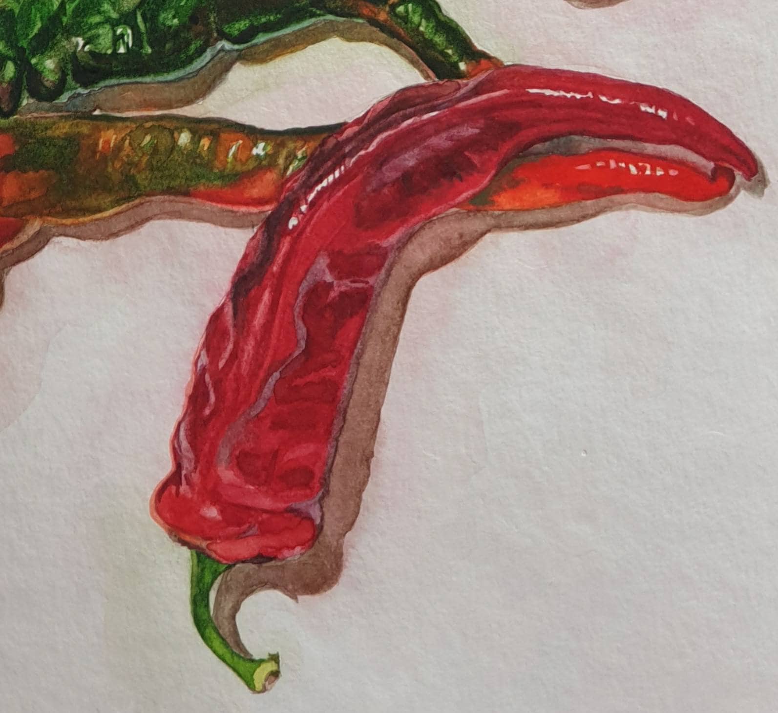 Chili Peppers Watercolour, Red Peppers Painting, Kitchen Wall Art ...