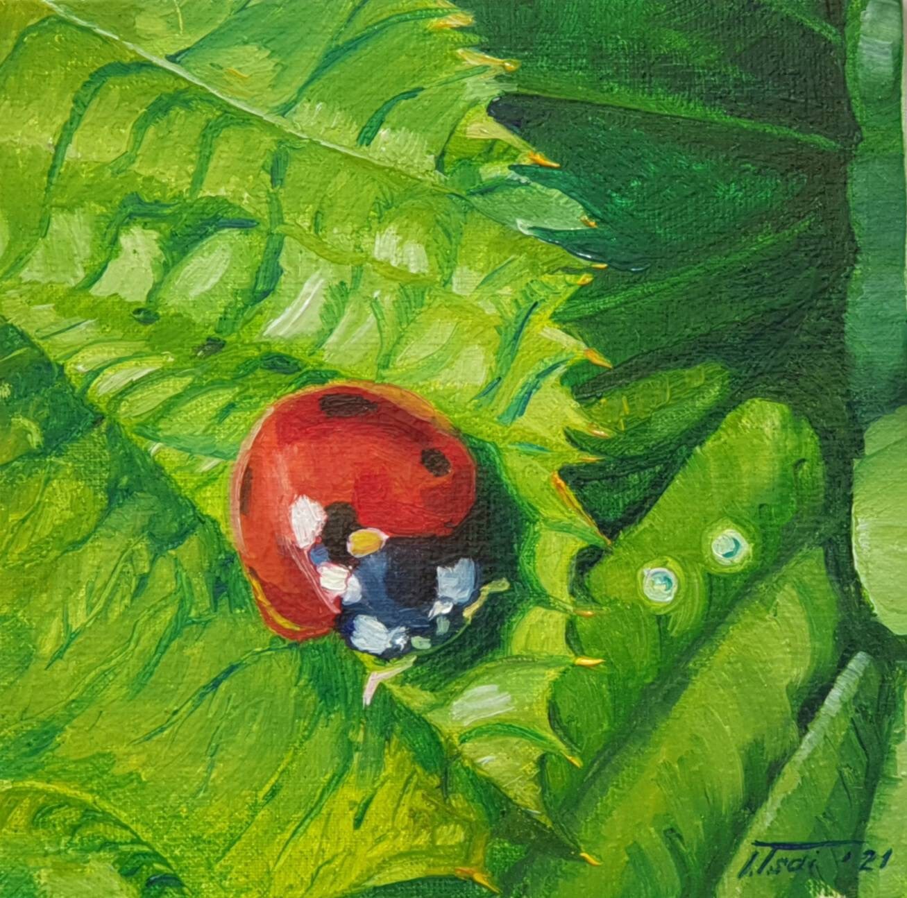 Miniature Lady Bug Oil Painting 66 Original Art Painting - Etsy