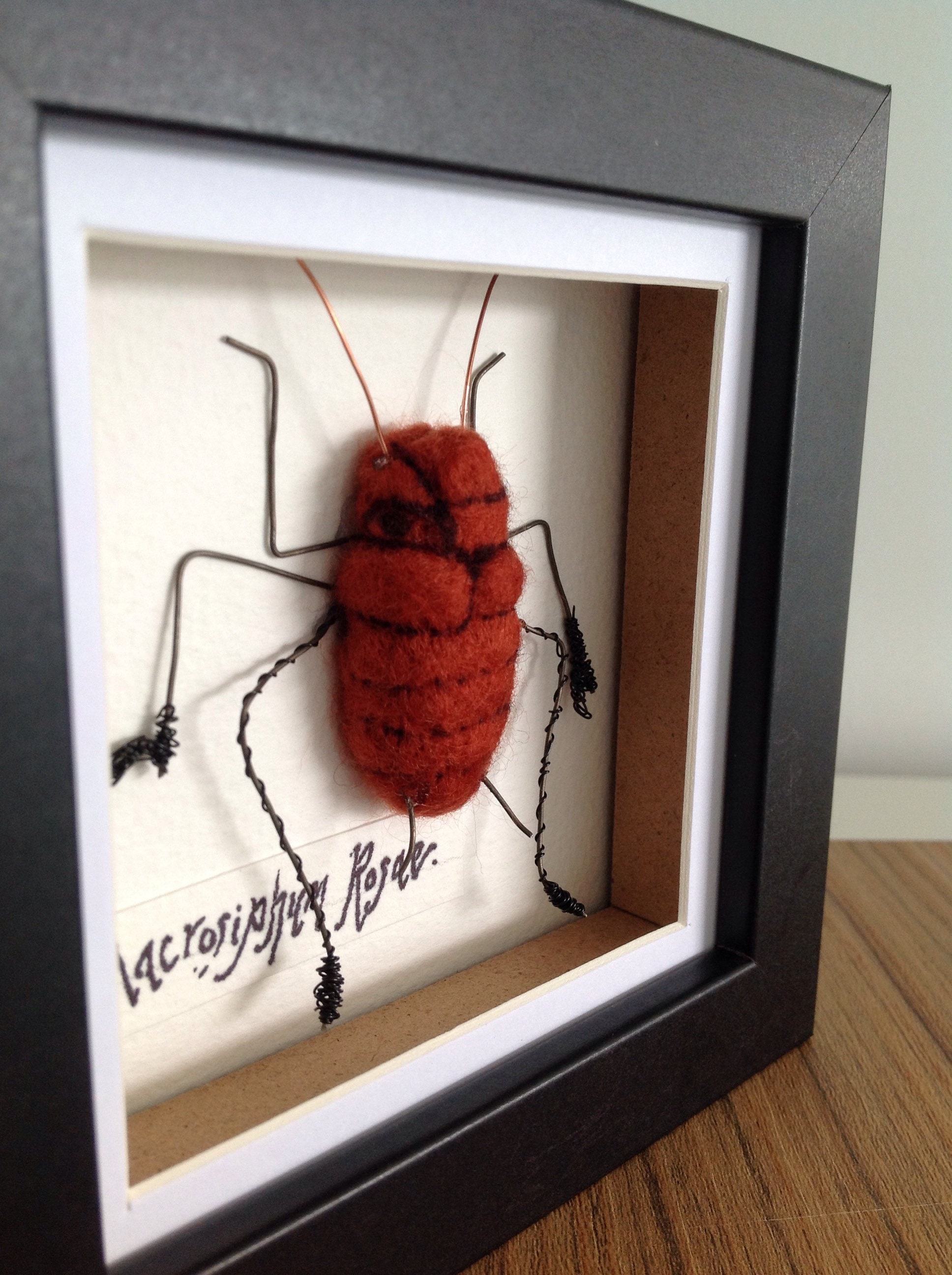 Wire and Needle Felted Insect/bug/specimen - Etsy