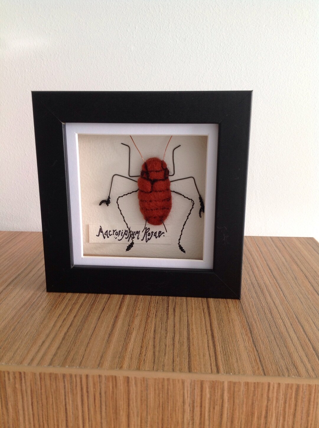 Wire and Needle Felted Insect/bug/specimen - Etsy