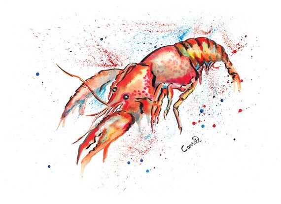 Personalised Crawfish Lobster Art Print | Etsy
