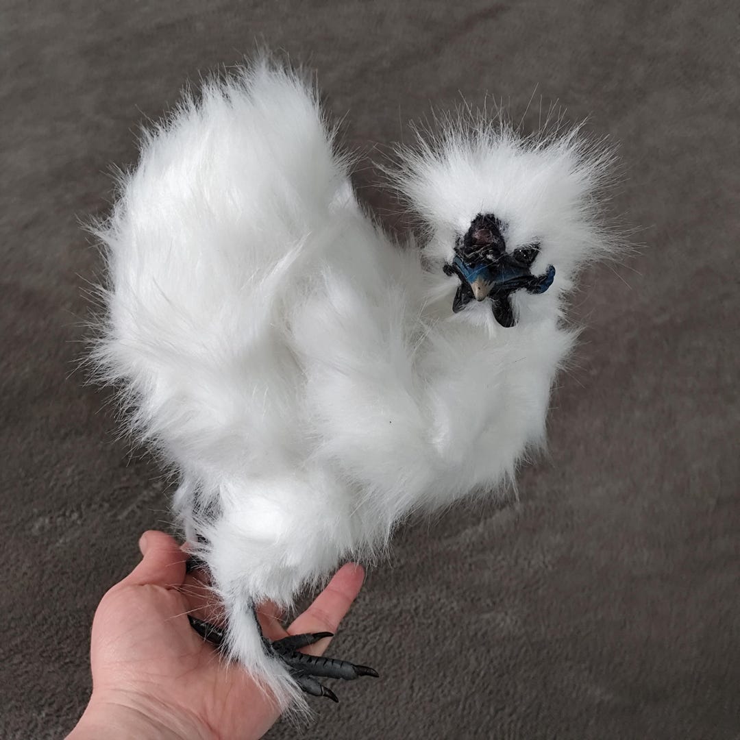 Silkie Chicken, White, Bird ,poseable Art Doll, Realistic Animal - Etsy
