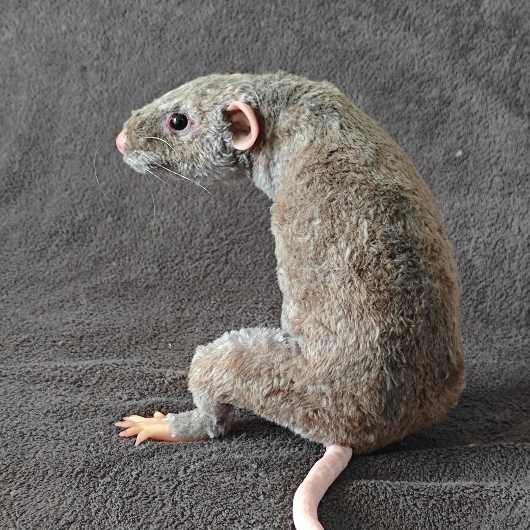 Gros rat Dumbo, poupée d'art articulée, chêne animal réaliste - Etsy France