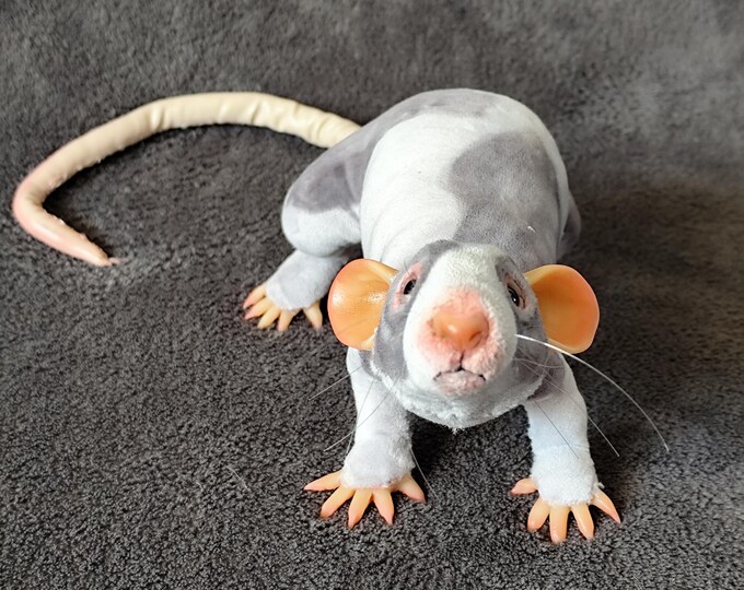 Dumbo Rat, Poseable Art Doll, Realistic Animal - Etsy