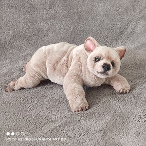 Light Brown Bear Realistic Bear Art Doll Animal Poseable Art - Etsy