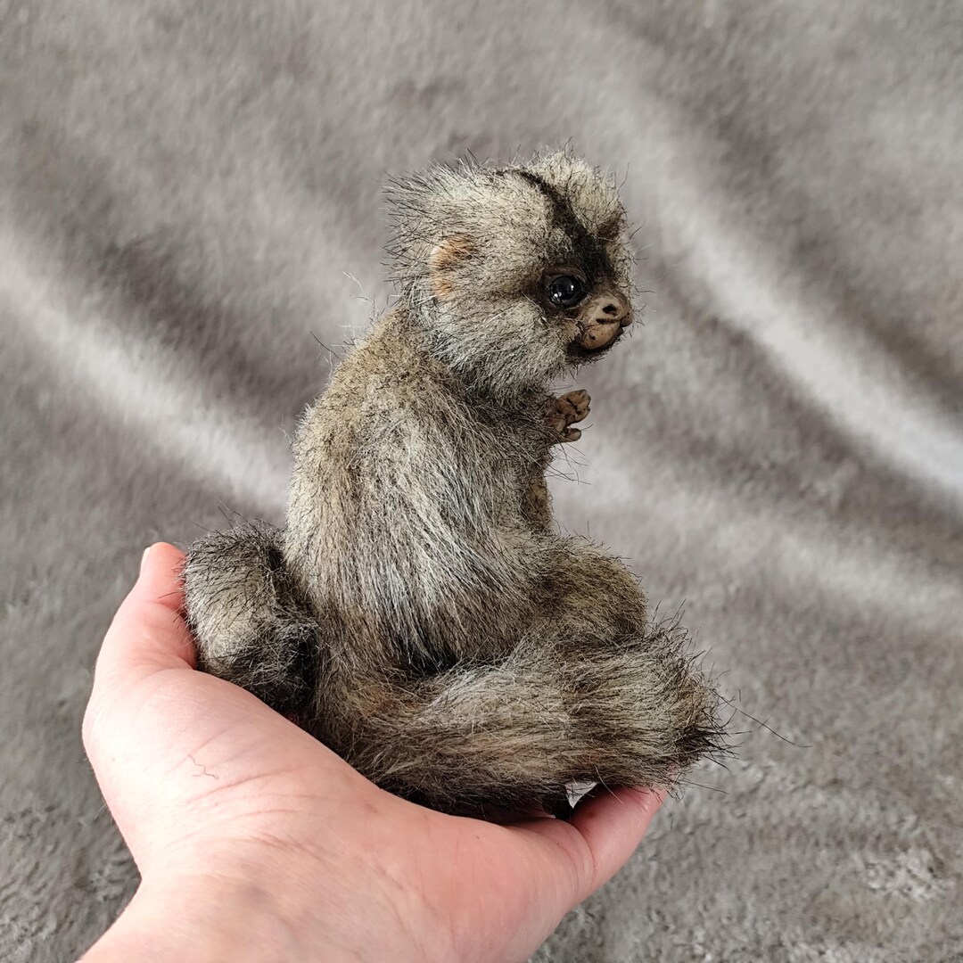 Pygmy Monkey, Poseable Art Doll, Realistic Animal - Etsy