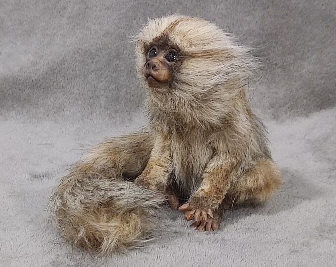 Pygmy Monkey, Poseable Art Doll, Realistic Animal - Etsy