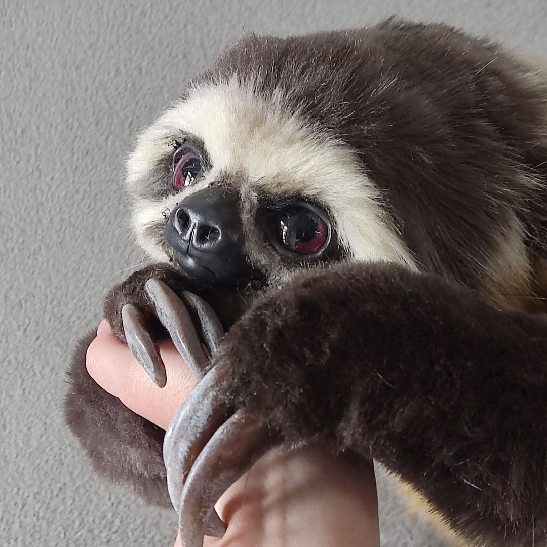 Big Three-toed Sloth- Poseable Art Doll, Realistic Animal/ Lalka ...