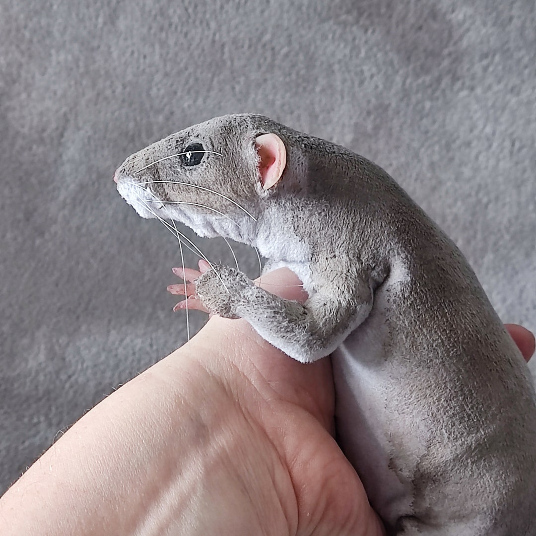 Dumbo Rat, Poseable Art Doll, Realistic Animal - Etsy