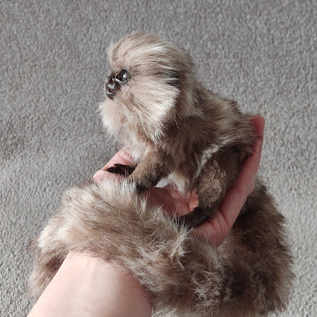 Pygmy Monkey, Poseable Art Doll, Realistic Animal - Etsy