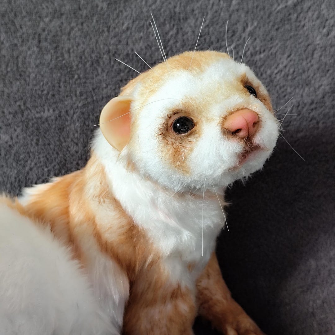 Ferret, life-size, realistic poseable, art doll animal, oak - Etsy.de