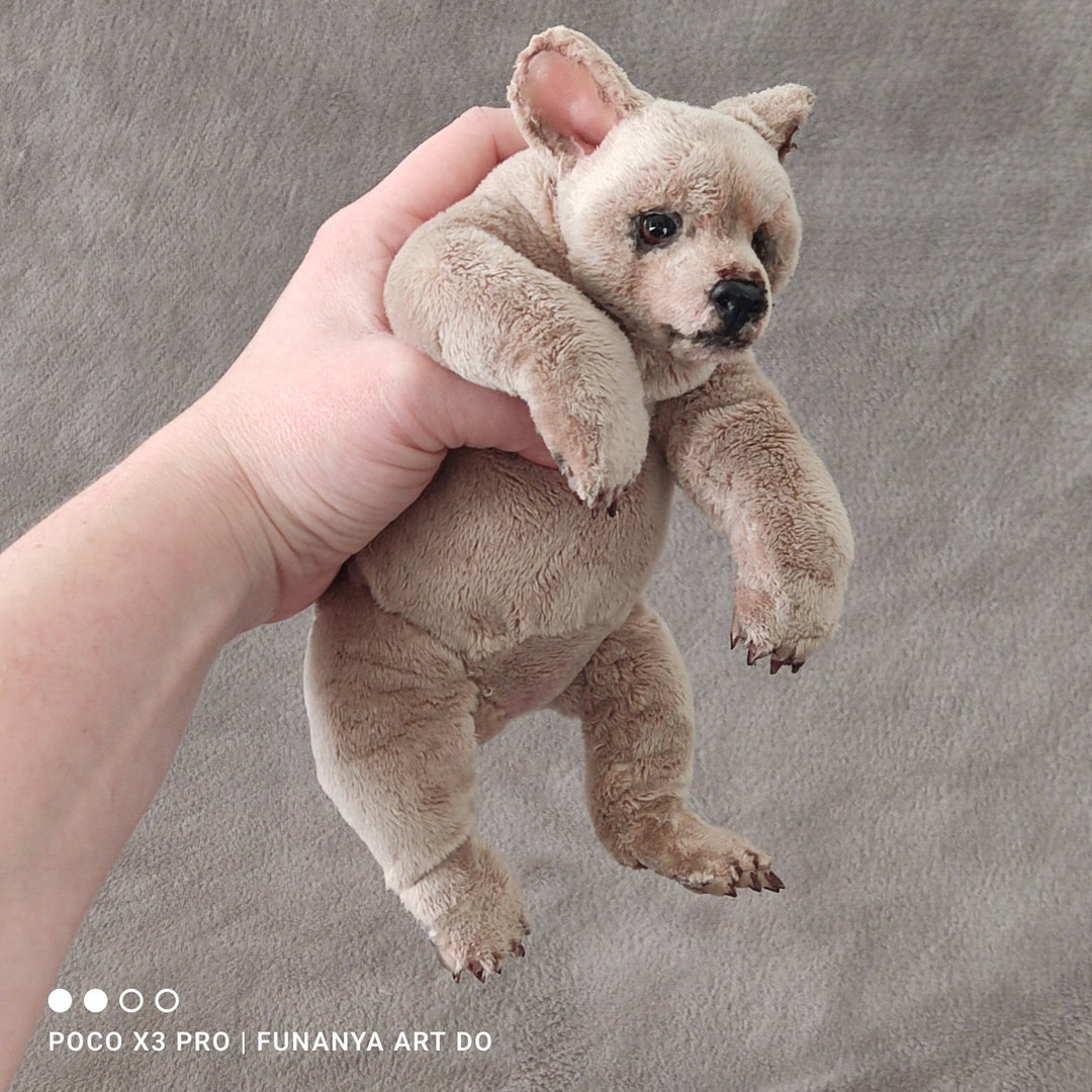 Light Brown Bear Realistic Bear Art Doll Animal Poseable Art - Etsy