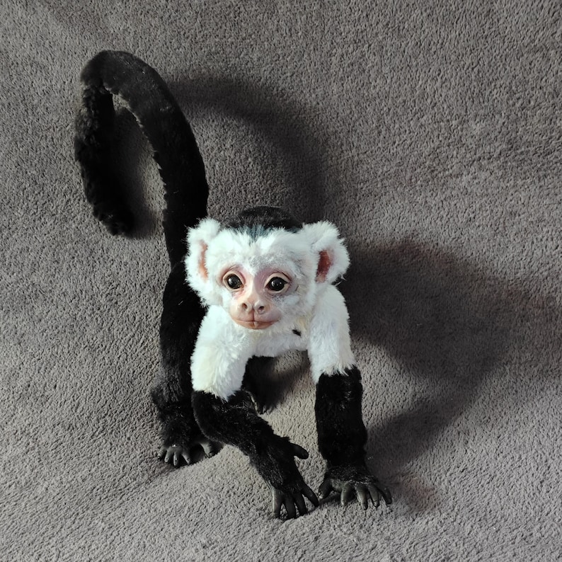 Realistic capuchin Monkey Poseable Sculpture Art Doll, OOAK Animal ...