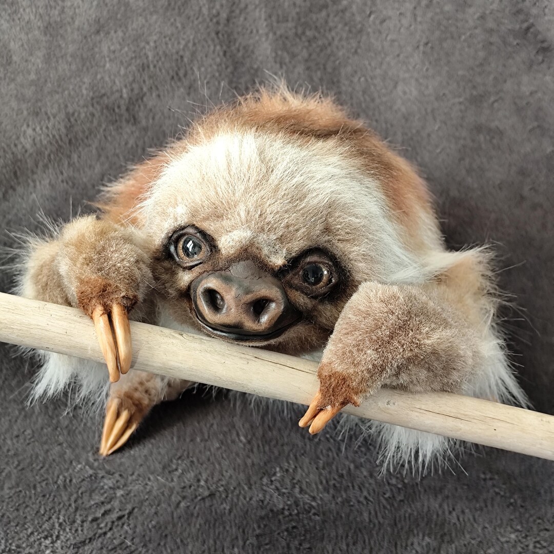 Two-toed Sloth Poseable Art Doll, Realistic Animal/ Lalka Artystyczna ...