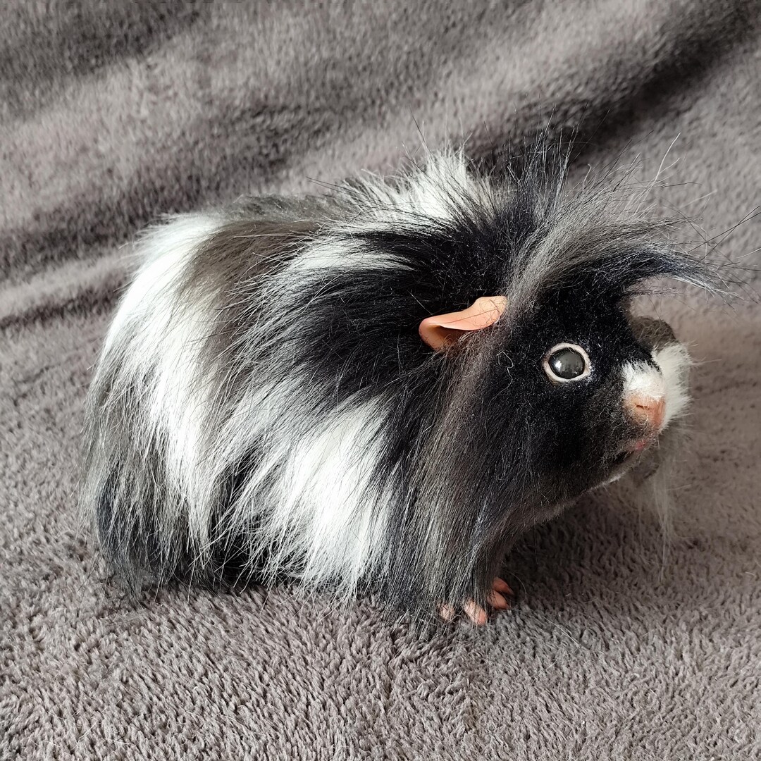 Angora Guinea Pig, Realistic Animal, Poseable Art Doll, Ooak - Etsy Canada