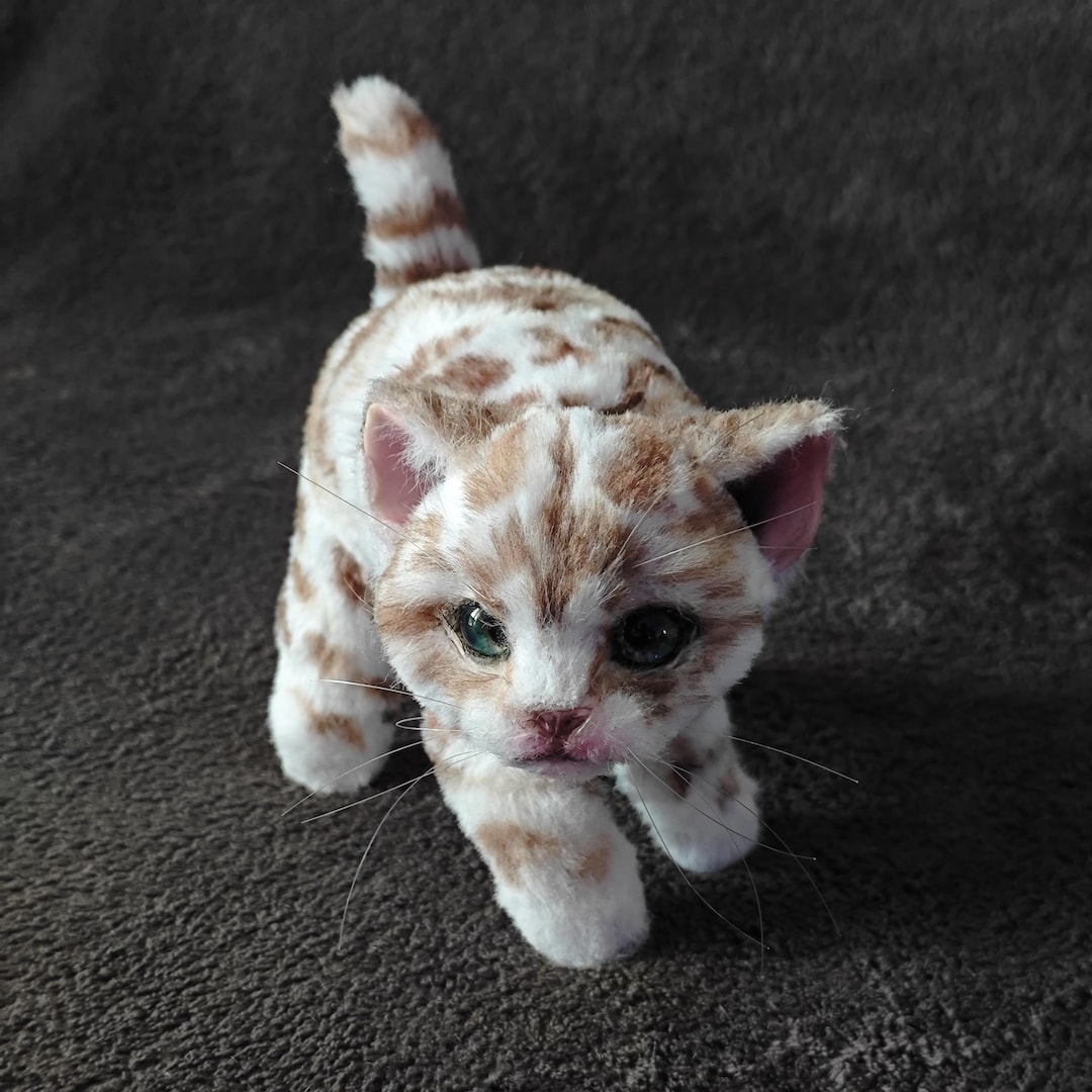 Kitten , realistic animal, poseable art doll, ooak - Etsy France