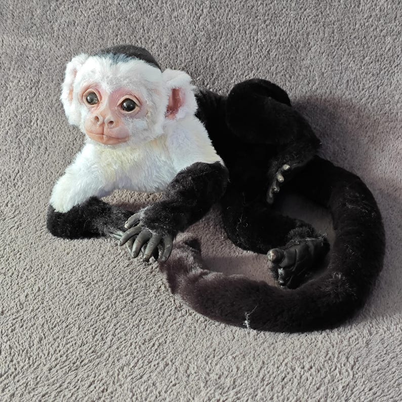 Realistic capuchin Monkey Poseable Sculpture Art Doll, OOAK Animal ...