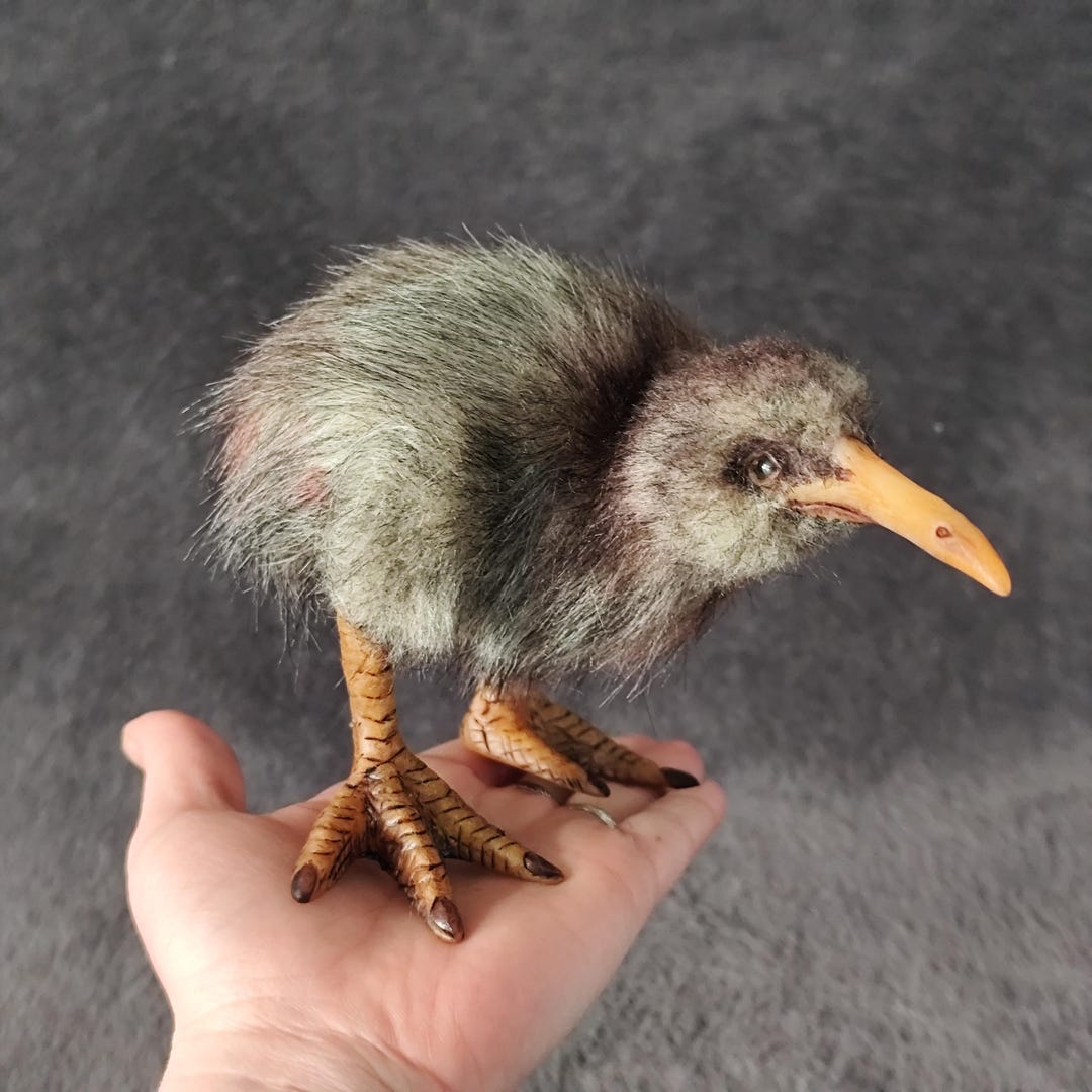 Kiwi Bird Poseable Art Doll, Stuffed Toy, Realistic Animal/ Lalka ...