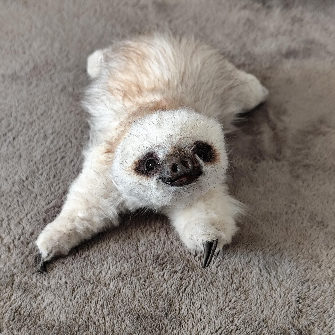 Pocket Size Sloth Poseable Art Doll, Realistic Animal - Etsy