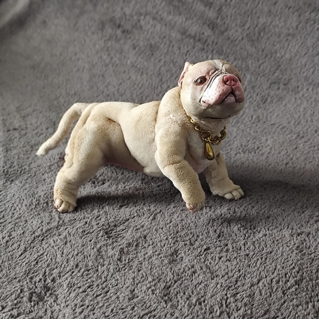 Mini Pocket Bully, Realistic Dog, Poseable, Art Doll Animal, Oak - Etsy