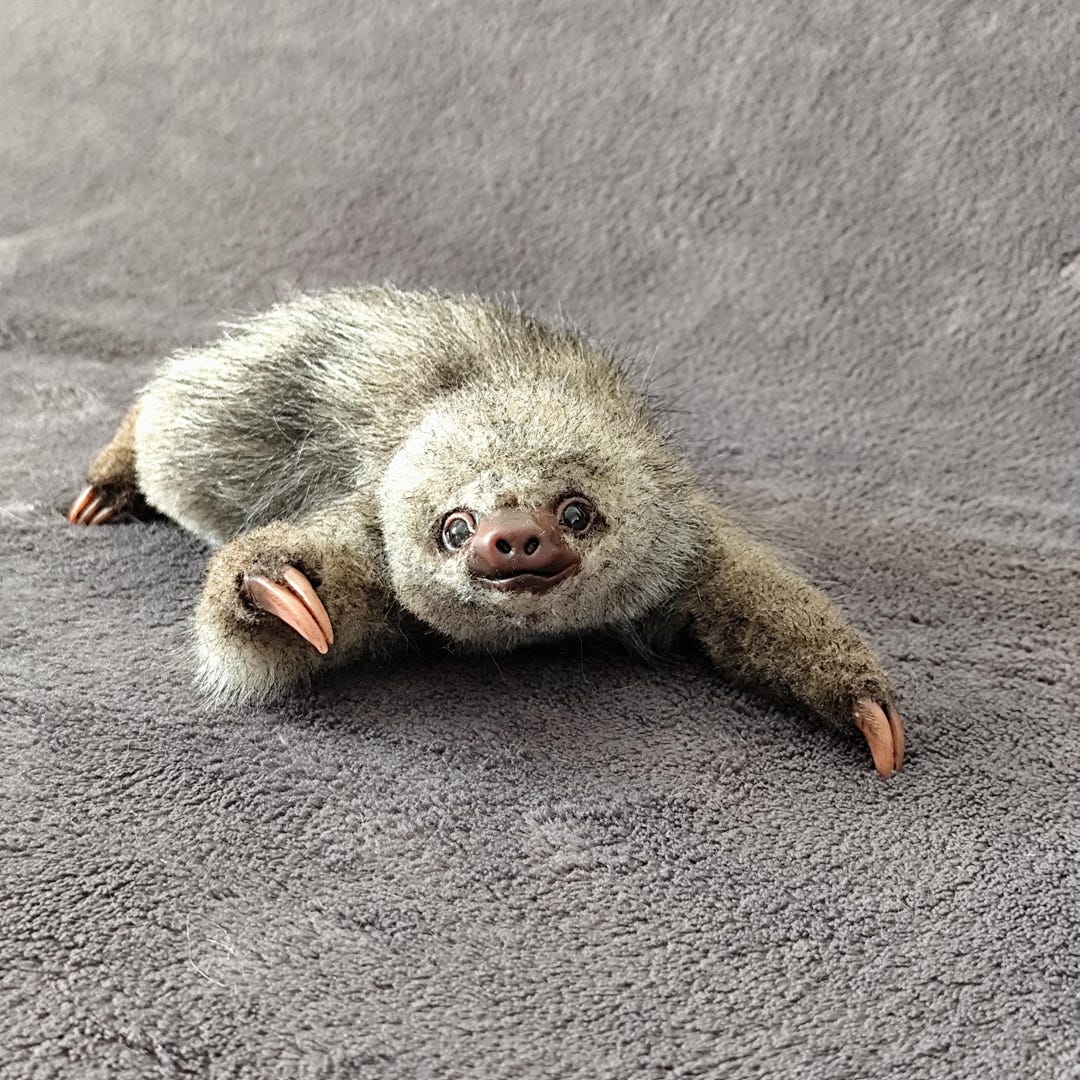 Pocket Size Sloth3- Poseable Art Doll, Realistic Animal - Etsy