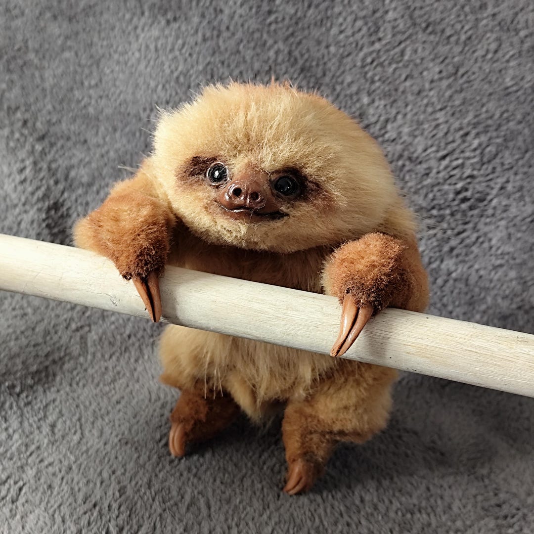 Baby Sloth- Poseable Art Doll, Realistic Animal/ Lalka Artystyczna - Etsy