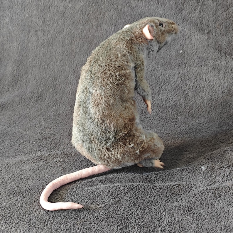 Gros rat Dumbo, poupée d'art articulée, chêne animal réaliste - Etsy France