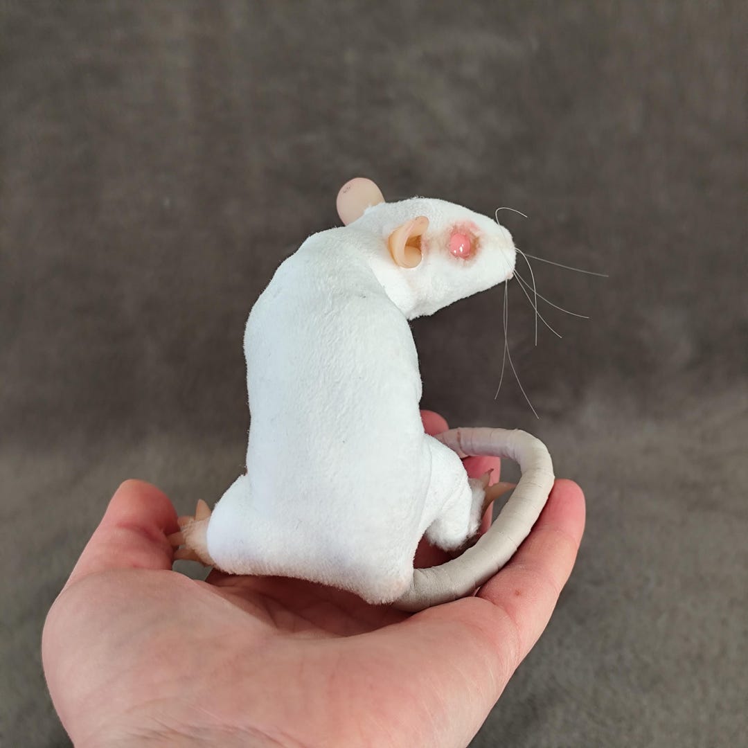 Albino Mouse, Poseable Art Doll, Realistic Animal - Etsy