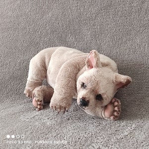 Light Brown Bear Realistic Bear Art Doll Animal Poseable Art - Etsy