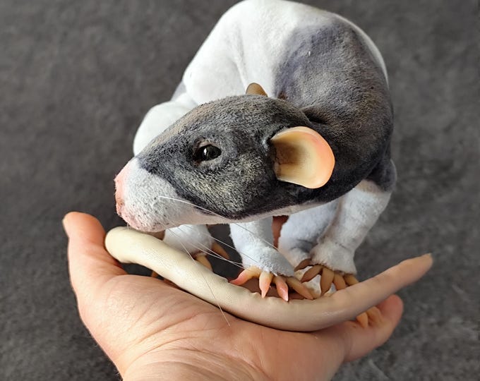 Dumbo Rat, Poseable Art Doll, Realistic Animal - Etsy