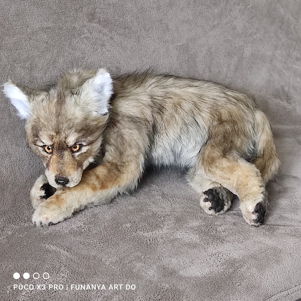 Realistic Wolf Pup Plush - Etsy
