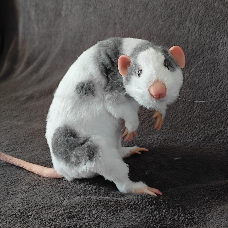 Dumbo Rat, poseable art doll, realistic animal ooak - Etsy France