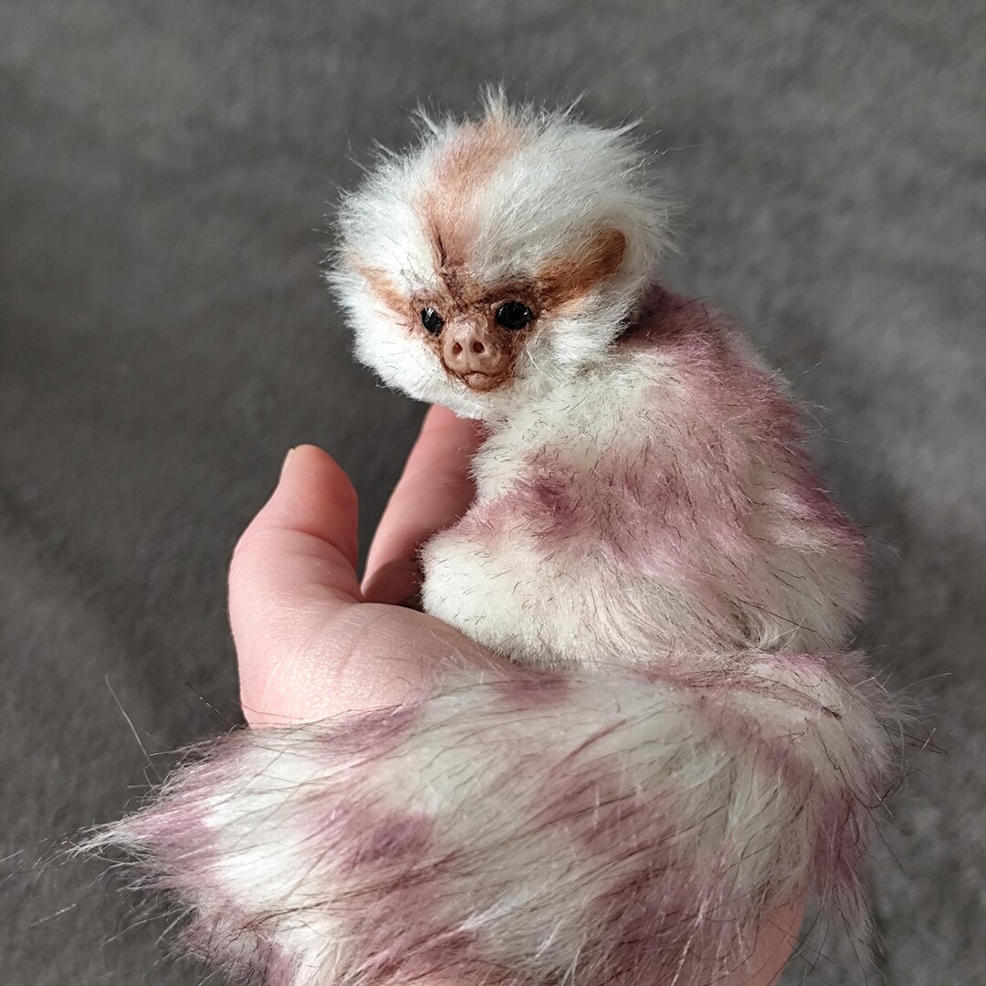 Pygmy Monkey, Poseable Art Doll, Realistic Animal - Etsy
