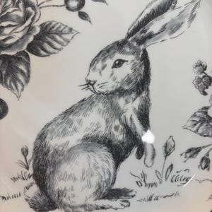 Maxcera Grey Bunny Rabbit Toile Dinner Plates Set of 4 New - Etsy