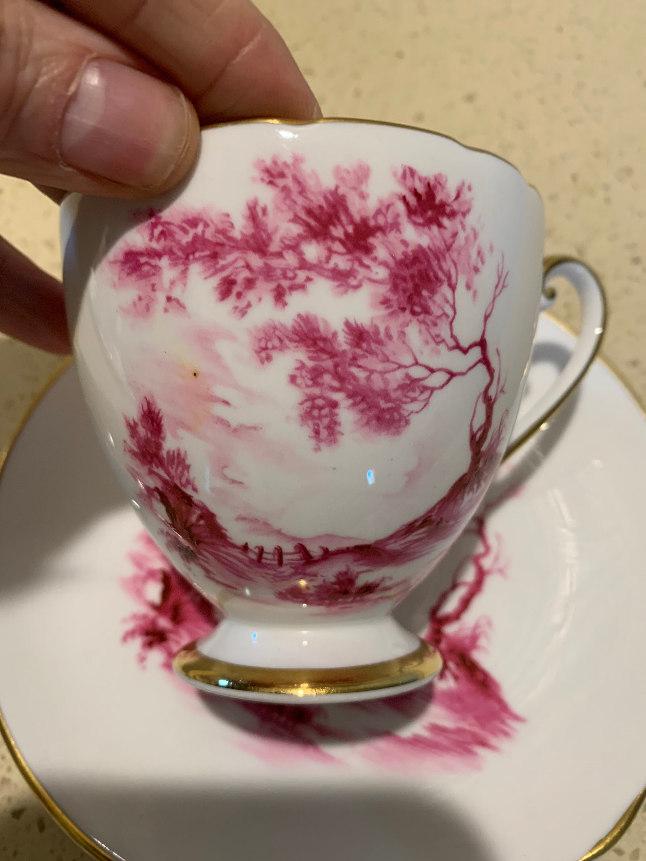 Rare Vintage Shelly Rural England Scenery Teacup and Saucer Richmond - Etsy