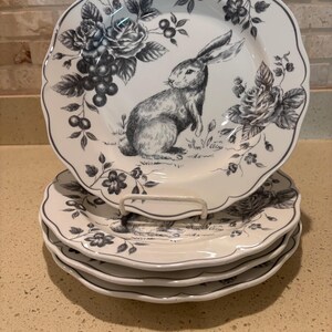 Maxcera Grey Bunny Rabbit Toile Dinner Plates Set of 4 New - Etsy