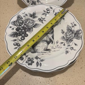 Maxcera Grey Bunny Rabbit Toile Dinner Plates Set of 4 New - Etsy
