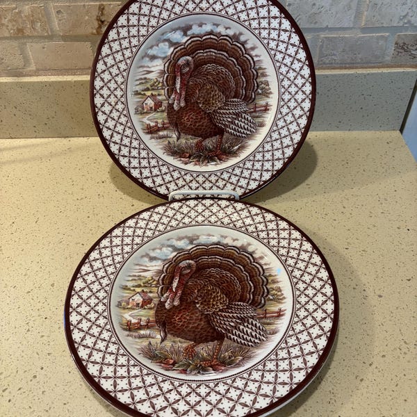 Royal Stafford Turkey Dinner Plates - Etsy