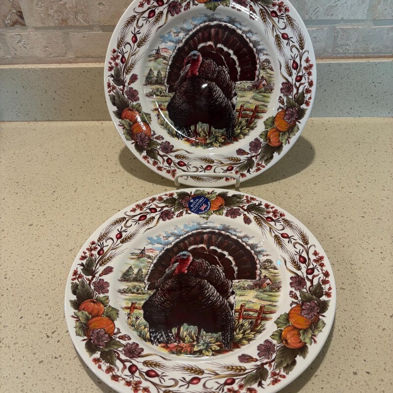 Royal Stafford Turkey Dinner Plates - Etsy