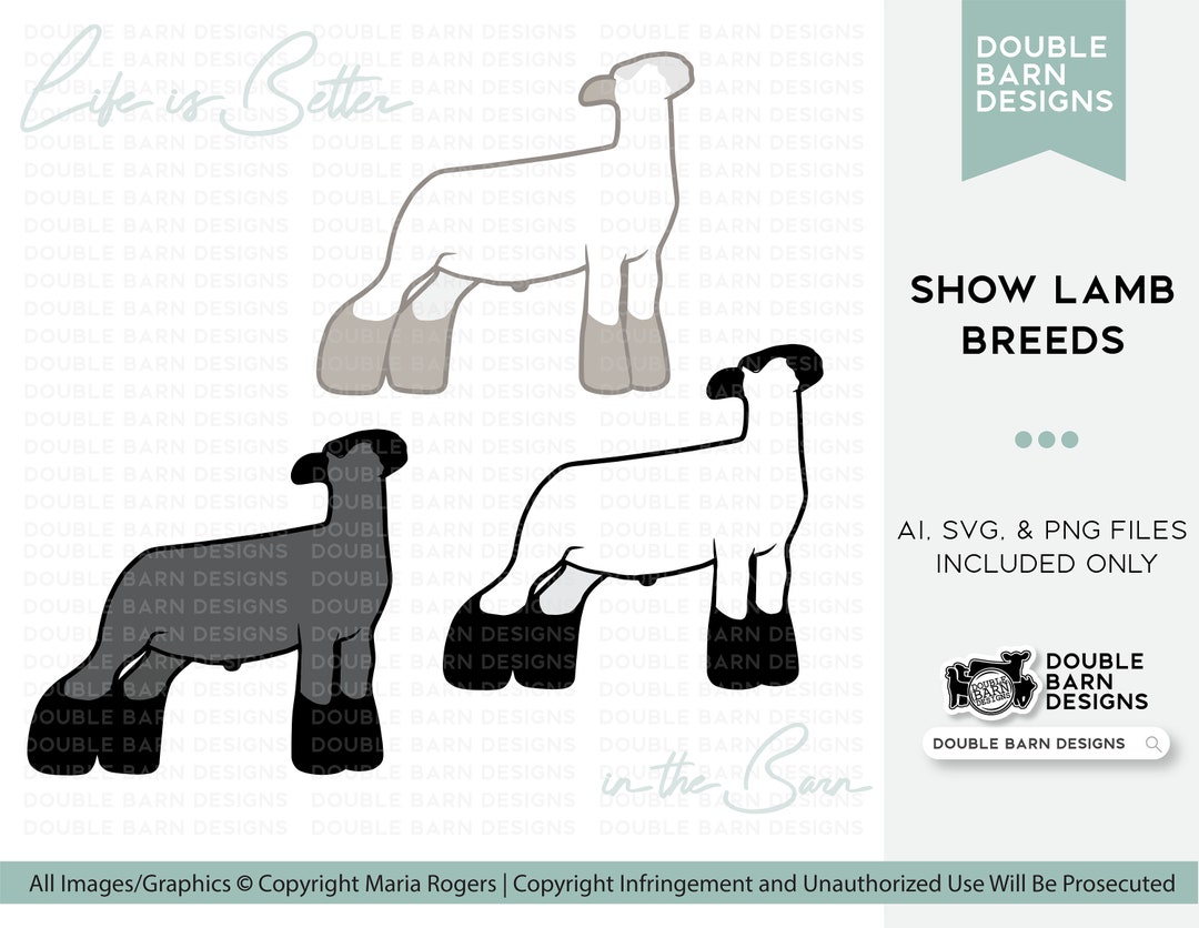 Show Lamb Breeds | Digital Download | AI SVG PNG - Etsy