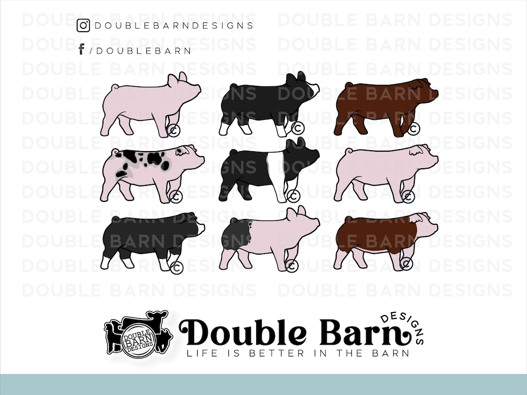 Show Pig Breeds Clipart: York, Cross, Hamp, Berk, Spot, Duroc (digital ...