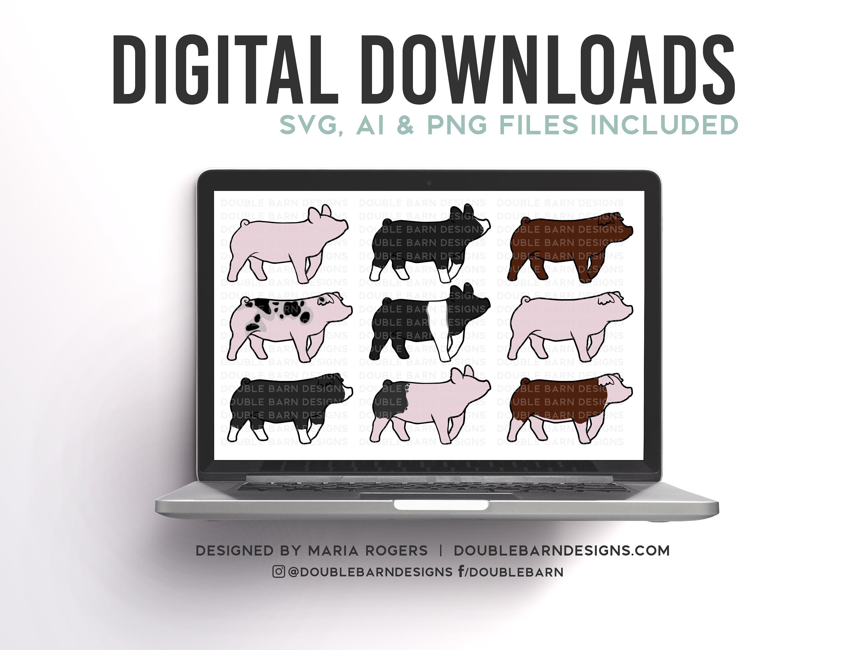 Show Pig Breeds Clipart: York, Cross, Hamp, Berk, Spot, Duroc (digital ...